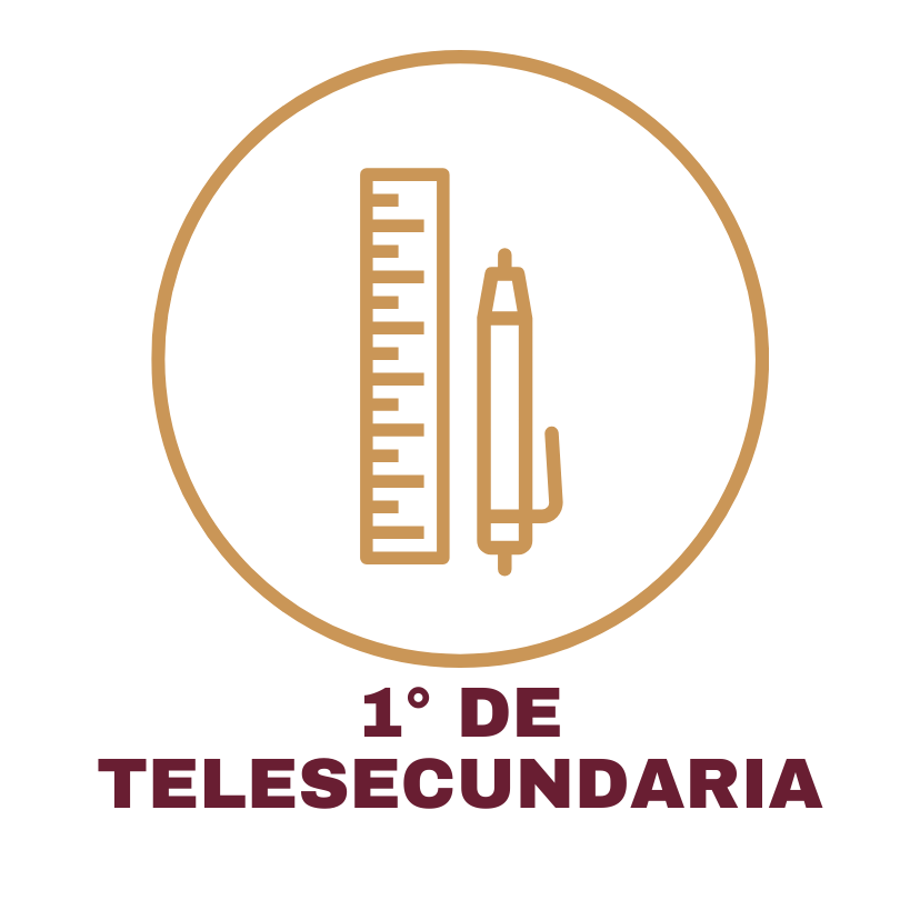Libros de texto gratuitos para Primer grado de Telesecundaria
