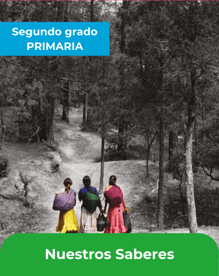 Nuestros saberes Segundo grado de Primaria